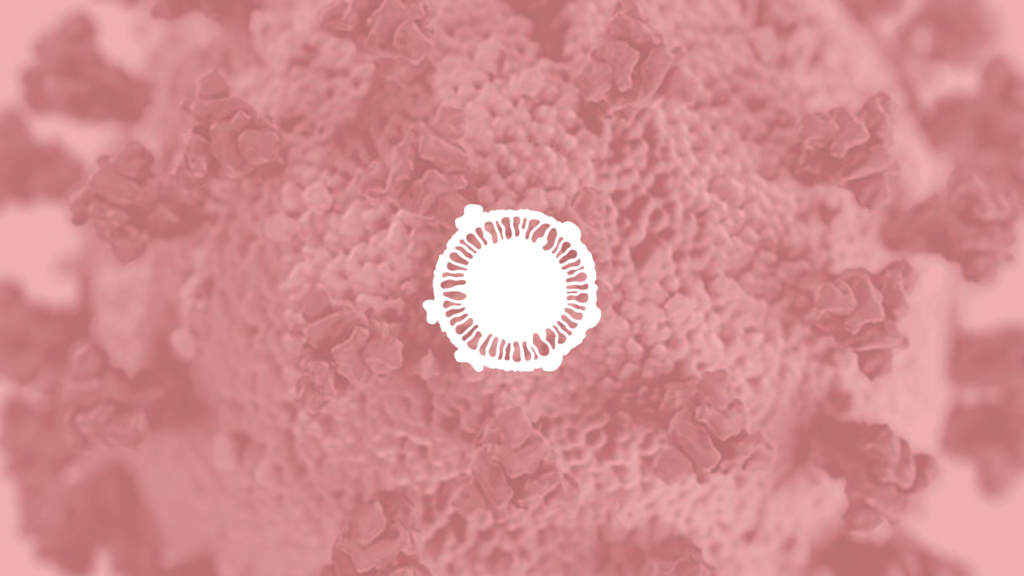 Activities – ScienHub